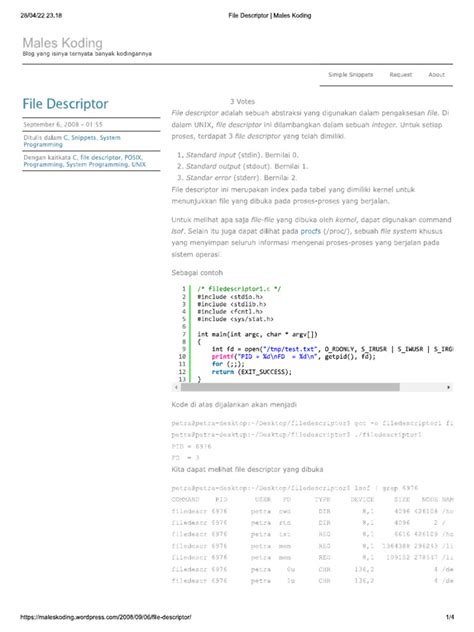 File Descriptor Males Koding Pdf