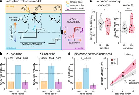 Cognitive Variability Lab Ens Paris