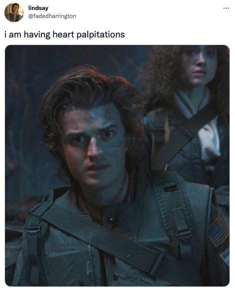 Pin On Stranger Things Stranger Things Steve Stranger Things Have