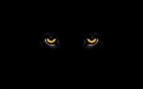 Black Panther Eyes Wallpapers Top Free Black Panther Eyes Backgrounds
