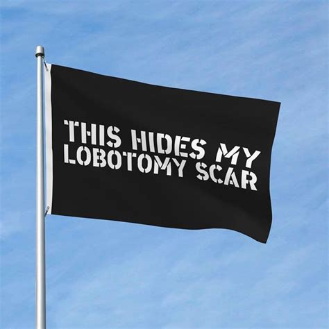 Lobotomy Scar 736x981