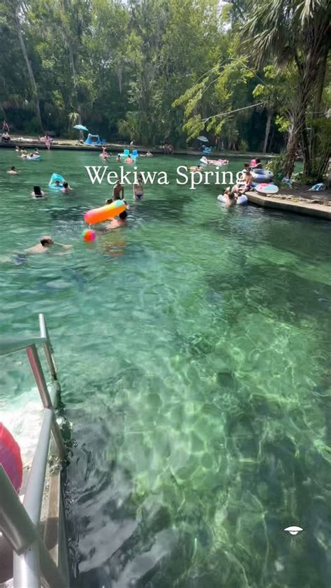 Wekiwa Springs State Park Swimming