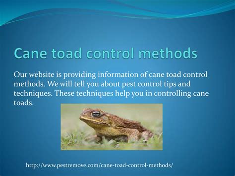 Cane Toad Control Methods Pptx