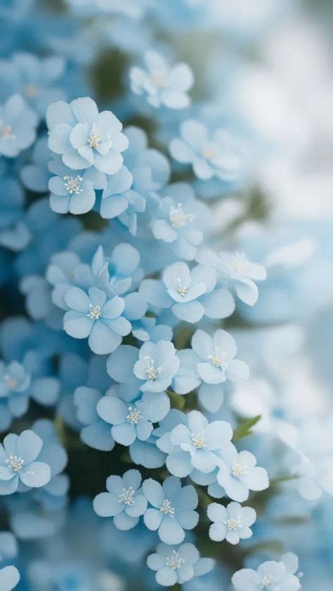 Blue Theme Wallpaper In 2025 Pretty Wallpapers Backgrounds Cute