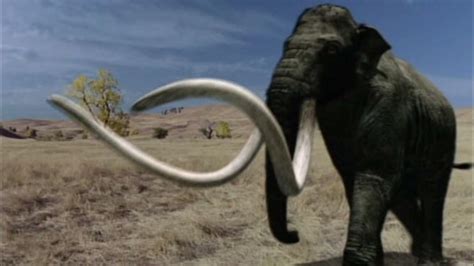 Columbian Mammoth The Great Migration 2008 Sound Effects Youtube