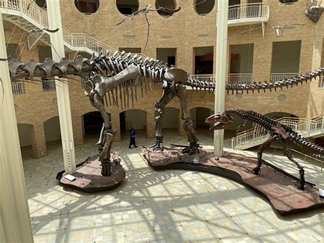 Argentinosaurus Skeleton Museum