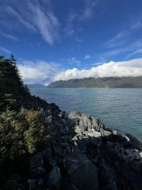 Charlene Pearson Holman