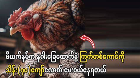 ဗီယက်နမ်က နဂါးခြေထောက်နဲ့ ကြက်တစ်ကောင်ကို သိန်း၇၀ကျော်လောက် ပေးဝယ