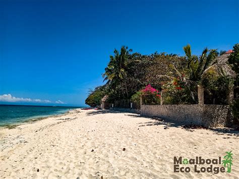 Basdaku White Beach Day Trips From Moalboal Cebu