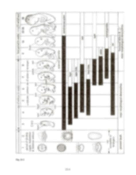 Solution Teratogens And Their Effects Studypool