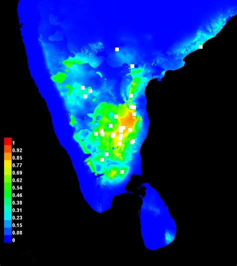 Maxent Sdm Map Projection For Duttaphrynus Hololius Download