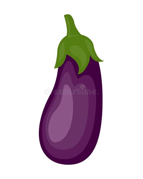 Colorful Eggplant Vector Illustration Isolated On White Background