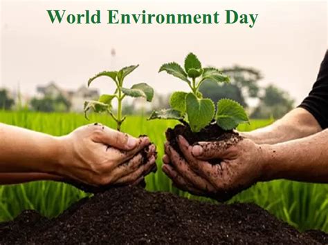 Environment Day