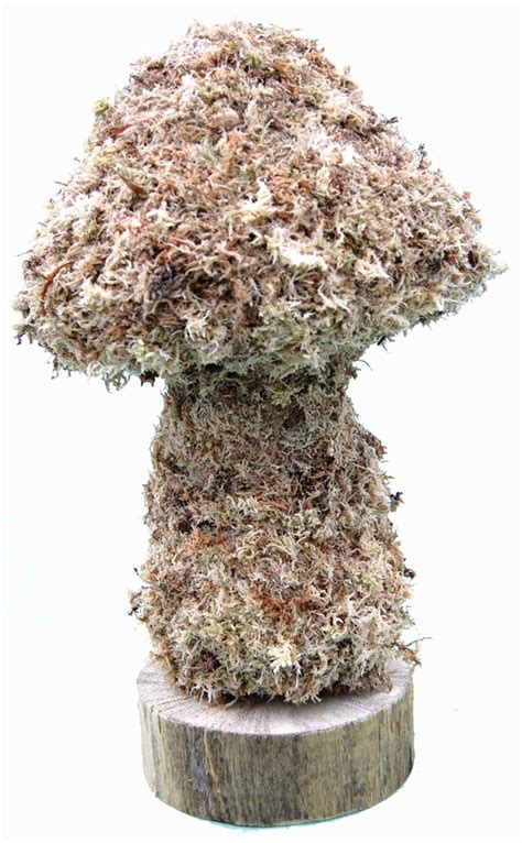 Mushroom Topiary Mini