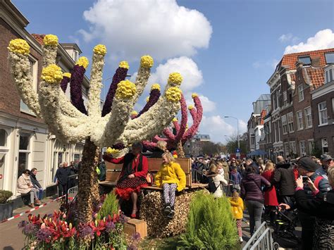 Tulip Season In Amsterdam 2026 Things To Do