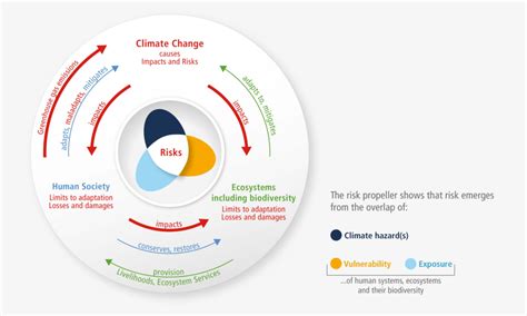 Climeverse Resilience — Climeverse