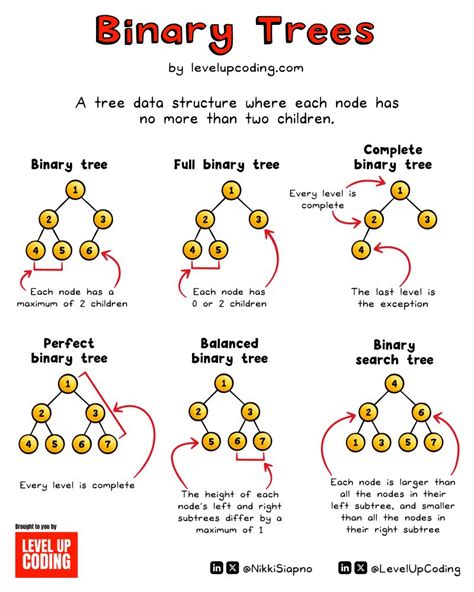 Bhanuka Dissanayake On Linkedin Binary Trees In Nutshell 💡