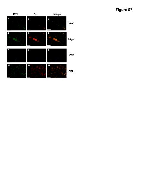 Pdf S7 Fig