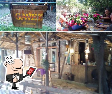 Gavez Club Belgrade Ада Циганлија Камп Партизан Restaurant Reviews