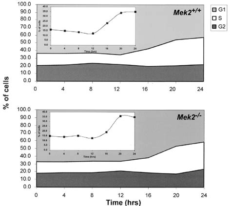 Cell Cycle Analysis Of Wild Type And Mek2 Mefs Confluent Cultures Of