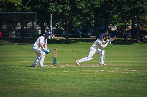 Cricket Players Photos Download The Best Free Cricket Players Stock