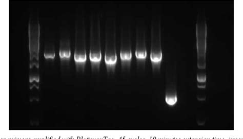 Figure 1 From Development Of A Massive Parallel Sequencing Method For