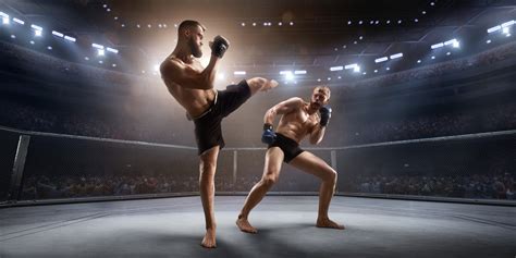 Artes Marciais Quais As Mais Praticadas E Onde Treinar