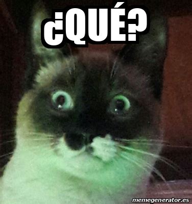 Meme Personalizado ¿qué 33150947