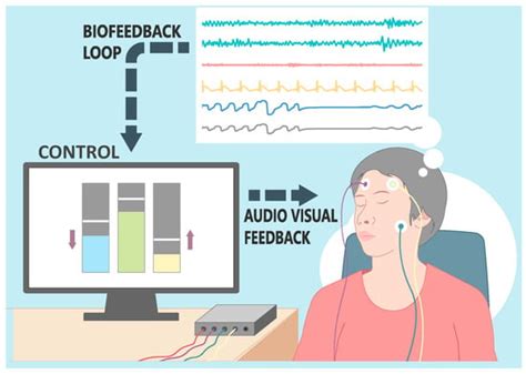 Consumer Grade Electroencephalogram And Functional Near Infrared