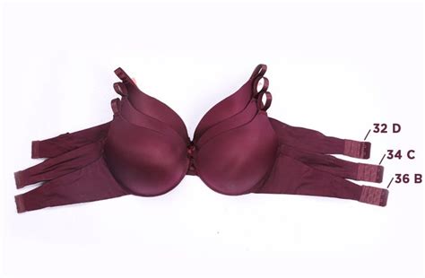 Sports Bra Size Chart Style Guide By Shushmabhavani Jul 2024 Medium