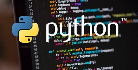 Python Programming Course July 2024 Train Hub