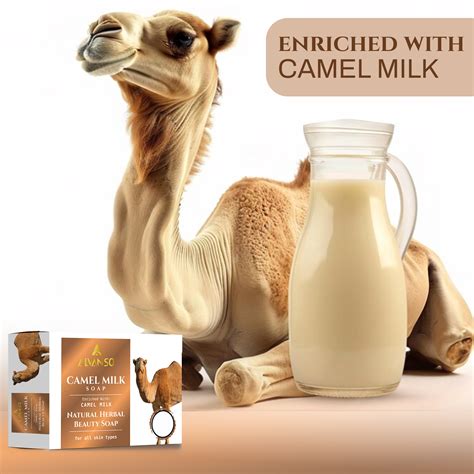 Camel Milk Soap Alvanso Beauty And Nature