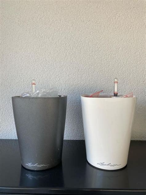 Lechuza Topf Klein 2 Stück Gebraucht In Horgen Für Chf 10 Mit Lieferung Auf Ricardo Kaufen