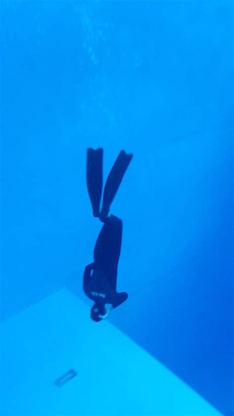 마린마스터 K26에서 Padi프리다이버코스중입니다 물도 따듯하고 수심도 다양하고 즐거운