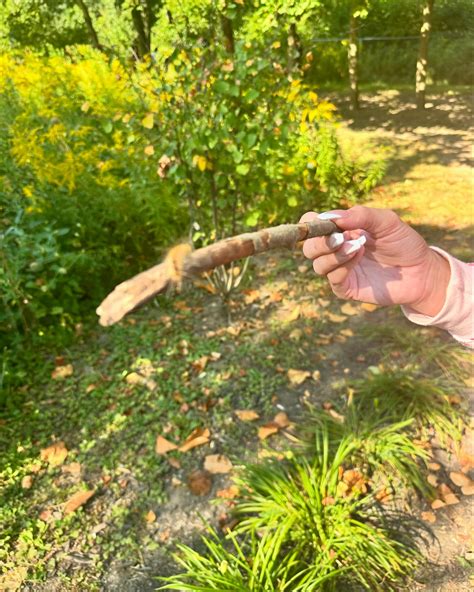 Amanda Bateman Mrs Abateman • Instagram Photos And Videos