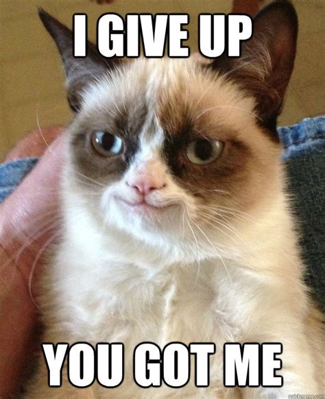 I Give Up You Got Me Smirking Cat Quickmeme