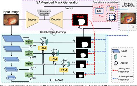 Segment Anything Model Guided Collaborative Learning Network For