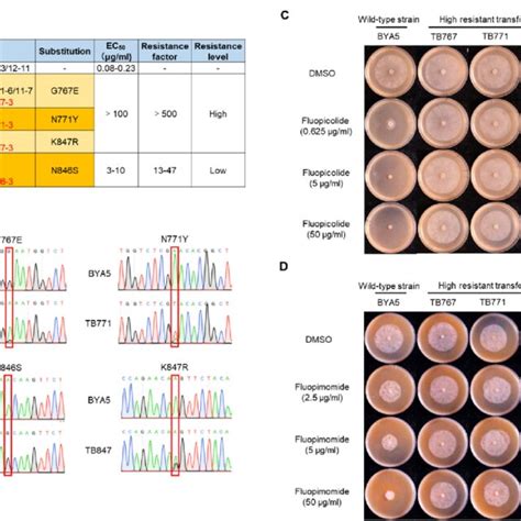 Fig S1 The Structural Formula Of Fluopicolide A And Fluopimomideb
