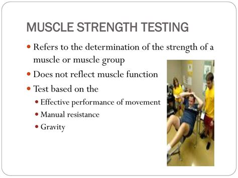 Ppt Muscle Strength Testing Powerpoint Presentation Free Download