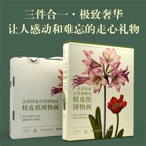 从零开始的机器学习之旅：python编程与深度学习的完美融合！🚀 建筑及模型设计 淘宝百科网