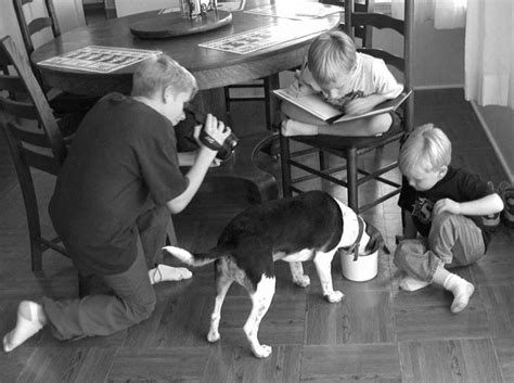 Osu Center For Pet And Animal Food Palatability Studies Oklahoma