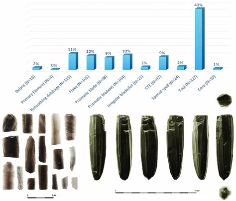 Debitage Class Frequencies N1002 Top And Selected Debitage Type