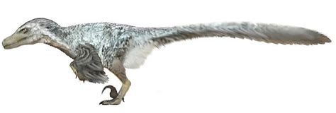 Prehistoric Planet Velociraptor Artofit
