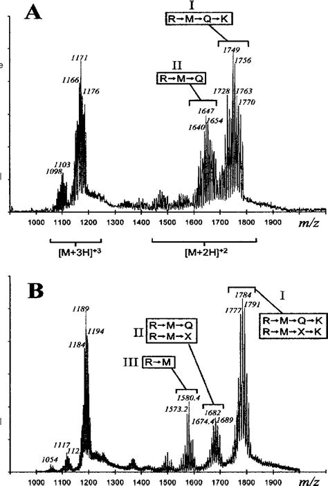 Rna Polymerase Iii Abacncptserqn Semantic Scholar