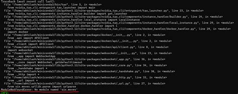 Error Setting Up Tao Toolkit Nvidia Docker Not Found Tao Toolkit