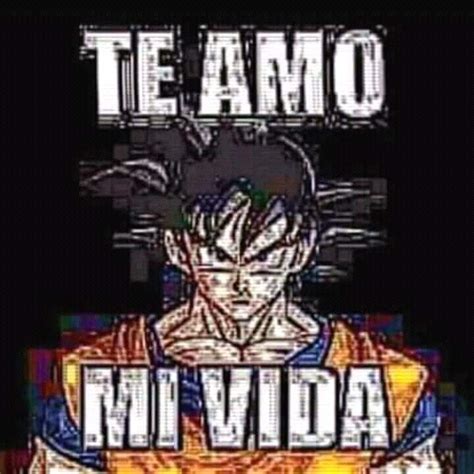 Te Amo Mi Vida Rmaau