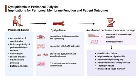 Natalia Stepanova On Linkedin Dyslipidemia In Peritoneal Dialysis Implications For Peritoneal