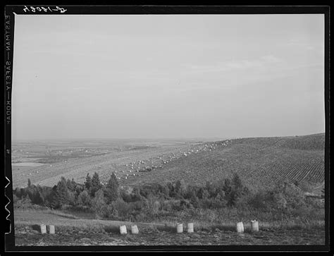 A Potato Field Just Outside Of Van Buren Maine Library Of Congress