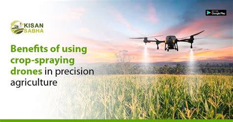 Benefits Of Using Crop Spraying Drones In Precision Agriculture KisanSabha Blog