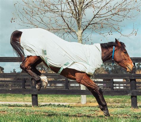 Beautiful Shots Of Personal By Nora Looby For Facebook